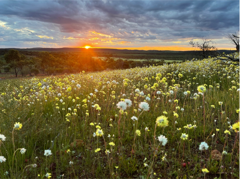 4 rituals for the ideal transition into spring – MOKOSH